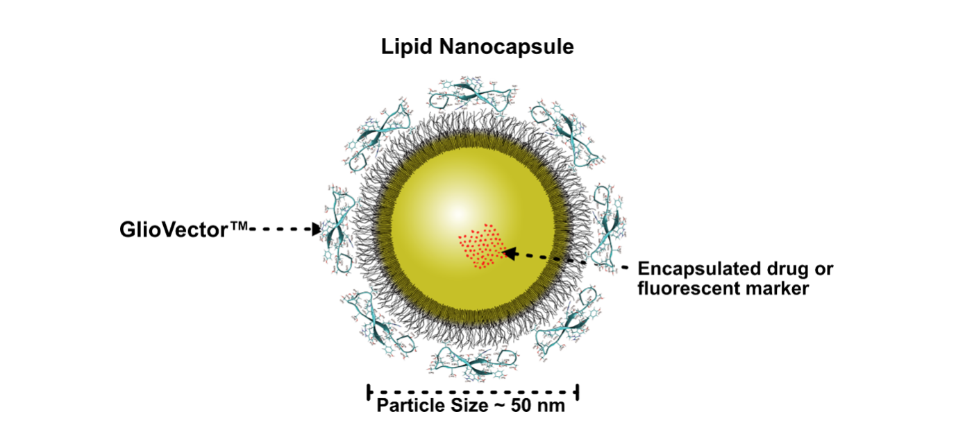GlioVector™ - Treatment of brain cancers and neurodegenerative diseases